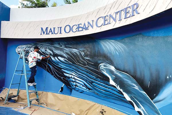 Aquarium moves closer to opening humpback whale exhibit | News, Sports ...